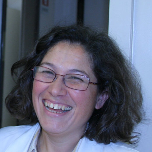 MENTORS - VIRGILIO PROGRAM – Excellence in Research Track