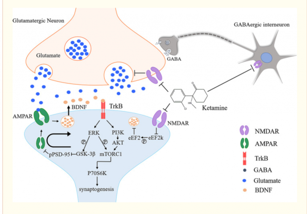 The role of Ketamine in Obsessive-Compulsive Disorder - VIRGILIO ...